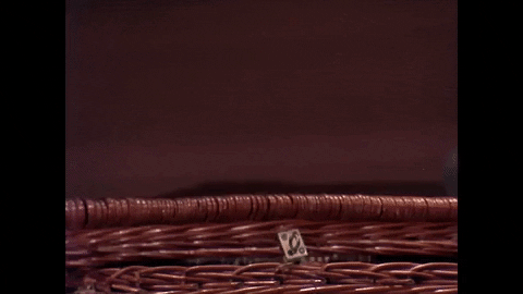 Basket Case GIF - Find & Share on GIPHY