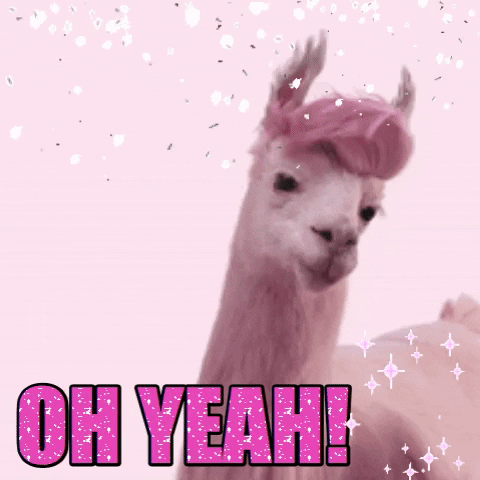 Ohyeah Oh Yeah GIFs - Find & Share on GIPHY