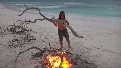 Funny Campfire Gif