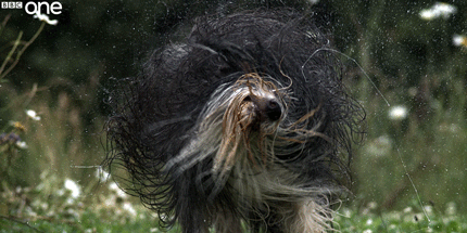 Drying Off Bbc One GIF by BBC - Find & Share on GIPHY