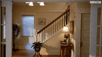 Falling Up Stairs Gif