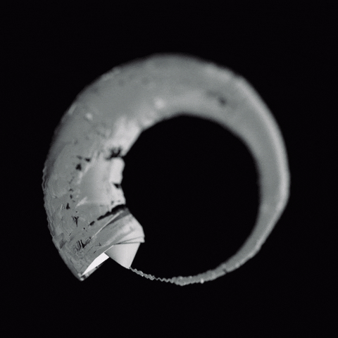 Ouroboros GIFs - Find & Share on GIPHY