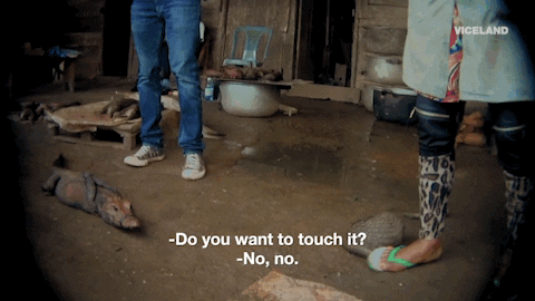 Touching Me Touching You GIFs - Get the best GIF on GIPHY