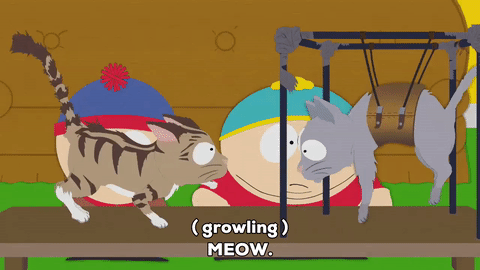 Speaking Eric Cartman GIF by South Park - Find & Share on GIPHY