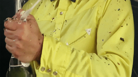 Reset Celebration GIFs - Get the best GIF on GIPHY