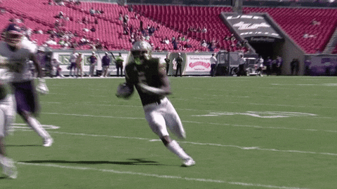 Happy Leap GIF by USF Athletics - Find & Share on GIPHY