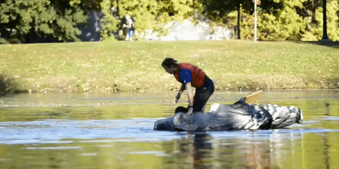 Recycled-boat-race GIFs - Get the best GIF on GIPHY