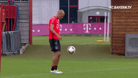 Arjen Robben Dive Gif