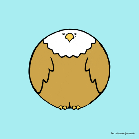 Round Animals GIFs on GIPHY - Be Animated