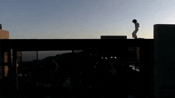 Jungle Dance GIFs - Find & Share on GIPHY