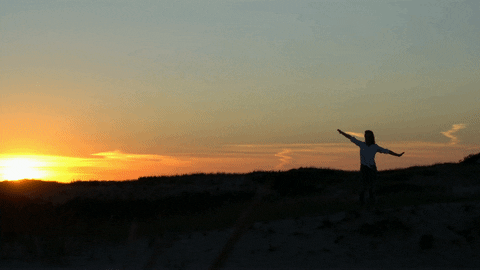 Haruki Murakami Writing GIF by Quote Catalog - Find & Share on GIPHY