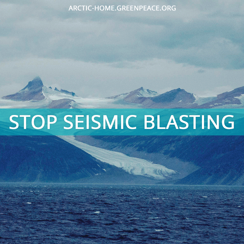 Greenpeace GIF - Find & Share on GIPHY