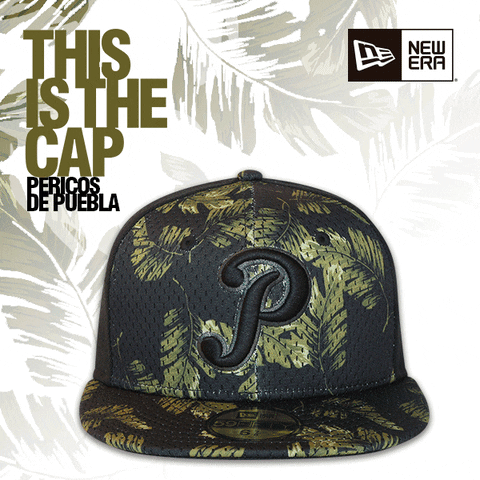 Pepe Perico GIFs - Find & Share on GIPHY