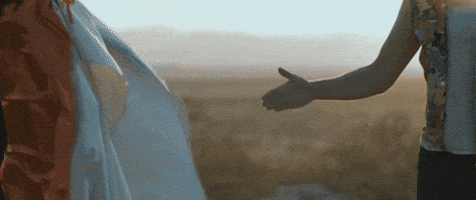 Shake Hands Handshake GIF by Polyvinyl Records - Find & Share on GIPHY