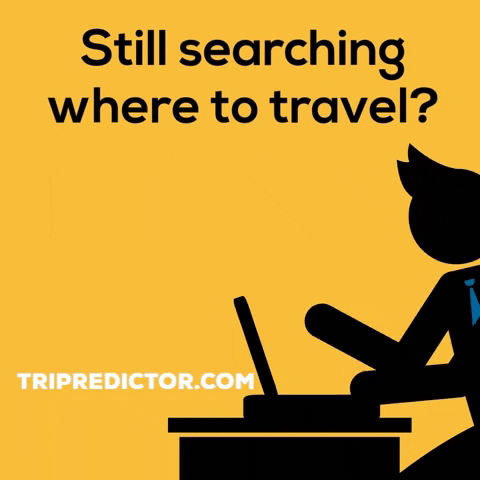 The Best Places For You GIFs - Get the best GIF on GIPHY