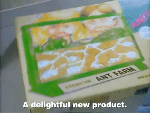 Ant-farm GIFs - Get the best GIF on GIPHY