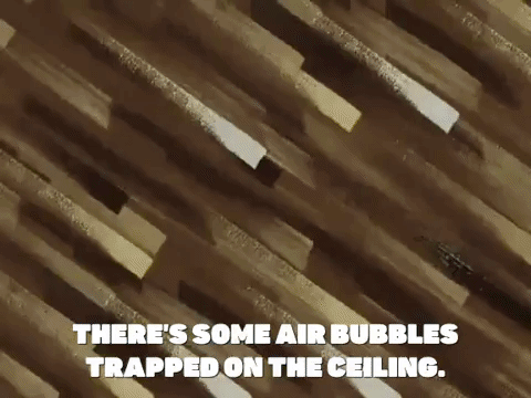 Air-bubbles GIFs - Get the best GIF on GIPHY