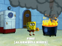 Photosynthesis Spongebob