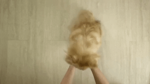Buen Perro GIFs - Get the best GIF on GIPHY