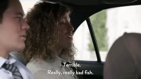 Bad-fish GIFs - Get the best GIF on GIPHY