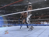 Hbk Sweet Chin Music Gif