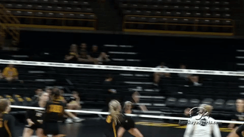 Volleyball GIF by University of Iowa Hawkeyes Athletics - Find & Share ...