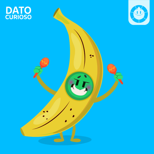 Dato Curioso GIFs - Get the best GIF on GIPHY