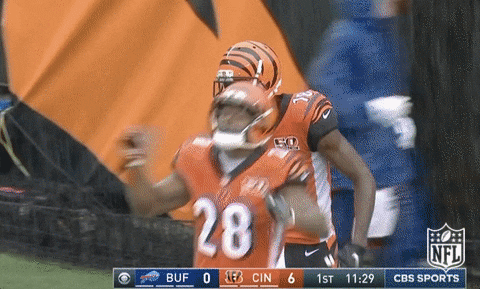 Cincinnati Bengals Football GIF by NFL - Find & Share on GIPHY