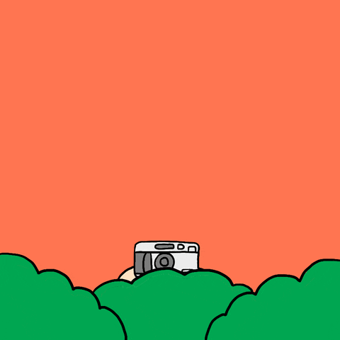 Low-light-bazaar GIFs - Get the best GIF on GIPHY