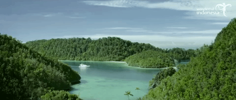 Pulau Wayag GIFs - Get the best GIF on GIPHY