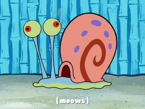 Season 4 GIF by SpongeBob SquarePants - Find & Share on GIPHY