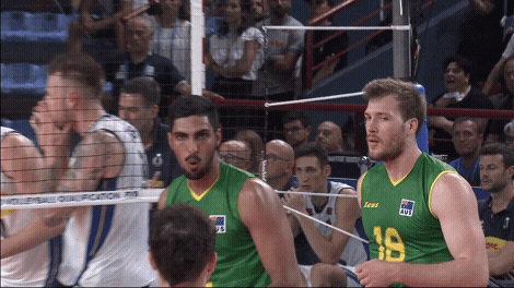 Happy Celebration GIF by Volleyball World - Find & Share on GIPHY