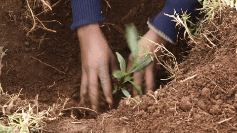 Soil Pollution GIFs - Get the best GIF on GIPHY