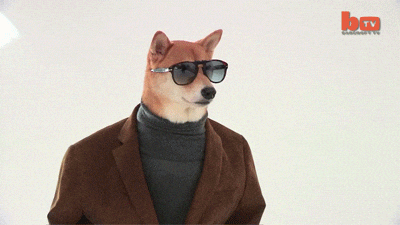 Dog With Mask GIFs - Get the best GIF on GIPHY