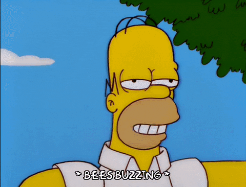 Bee Buzz GIFs - Get the best GIF on GIPHY