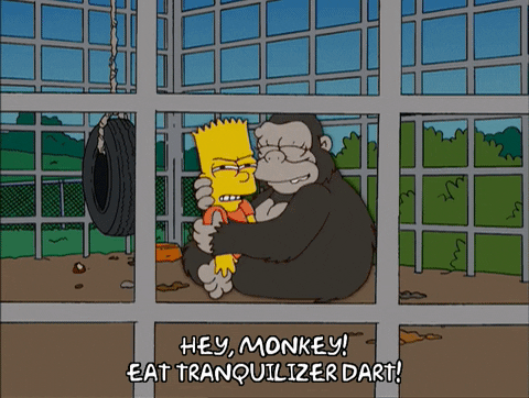 Monkeys-eating GIFs - Get the best GIF on GIPHY