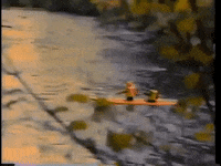 Oru Kayak GIFs - Find & Share on GIPHY