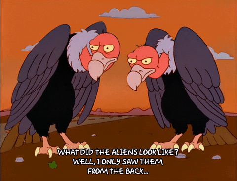 Buzzards GIFs - Get the best GIF on GIPHY