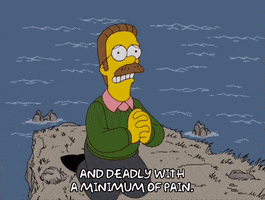 Ned Prays GIFs - Find & Share on GIPHY