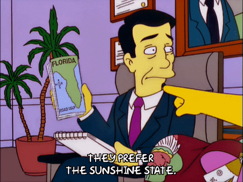 Sunshine-state GIFs - Get the best GIF on GIPHY