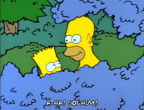Ha-got-him GIFs - Get the best GIF on GIPHY