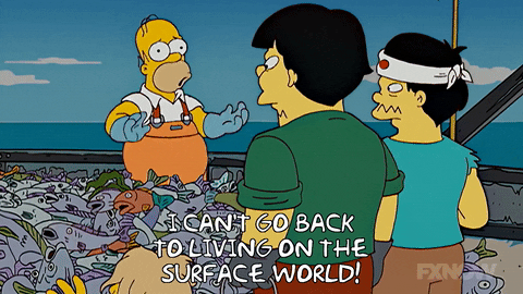 Surface-world GIFs - Get the best GIF on GIPHY