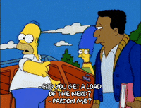 Simpsons Nerd Gif