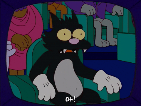 Cat Go GIFs - Get the best GIF on GIPHY