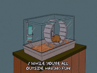 Hamster Wheel Gif