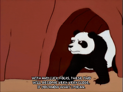 Episode 5 Panda GIF - Find & Share on GIPHY