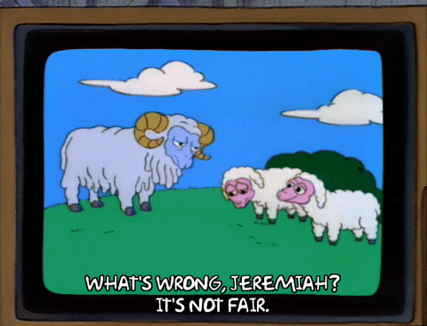 Three-sheep GIFs - Get the best GIF on GIPHY