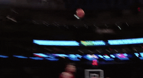 New York Knicks GIF by NBA - Find & Share on GIPHY