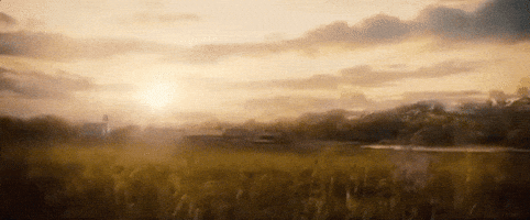 Magnificent 7 GIFs - Get the best GIF on GIPHY