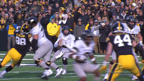 Hawks GIF by University of Iowa Hawkeyes Athletics - Find & Share on GIPHY